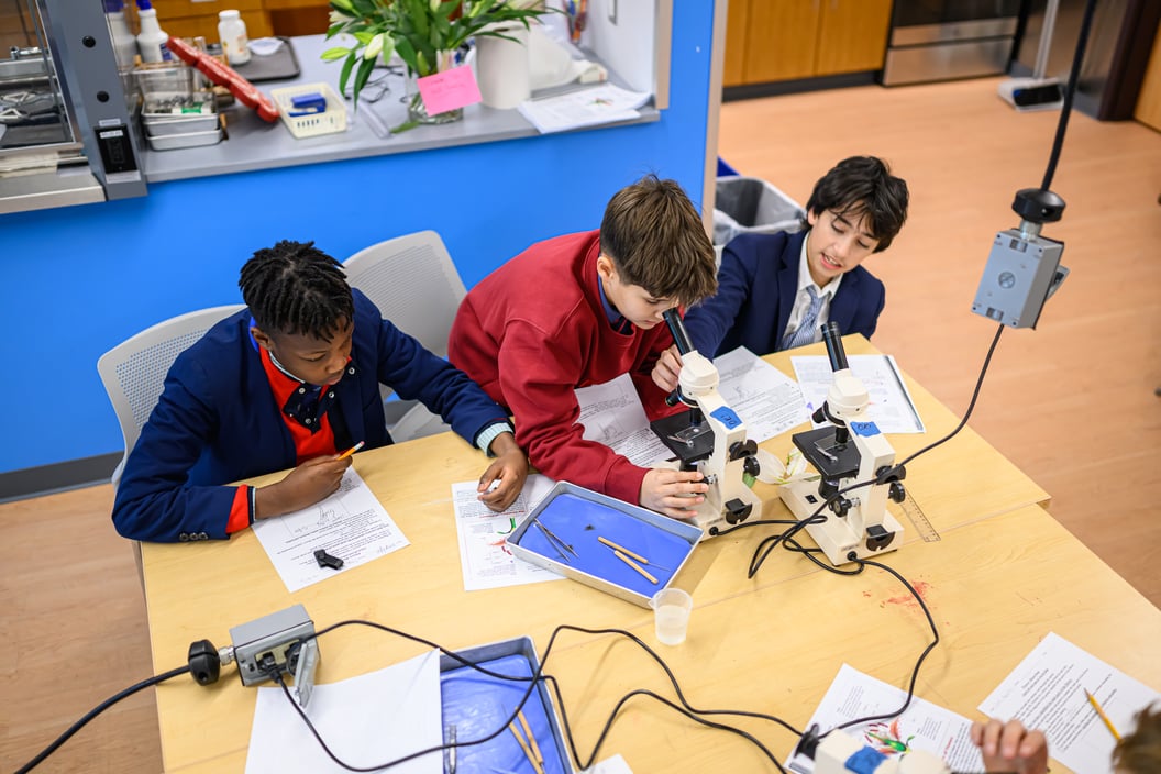Six Effective Strategies to Help Boys Thrive in School
