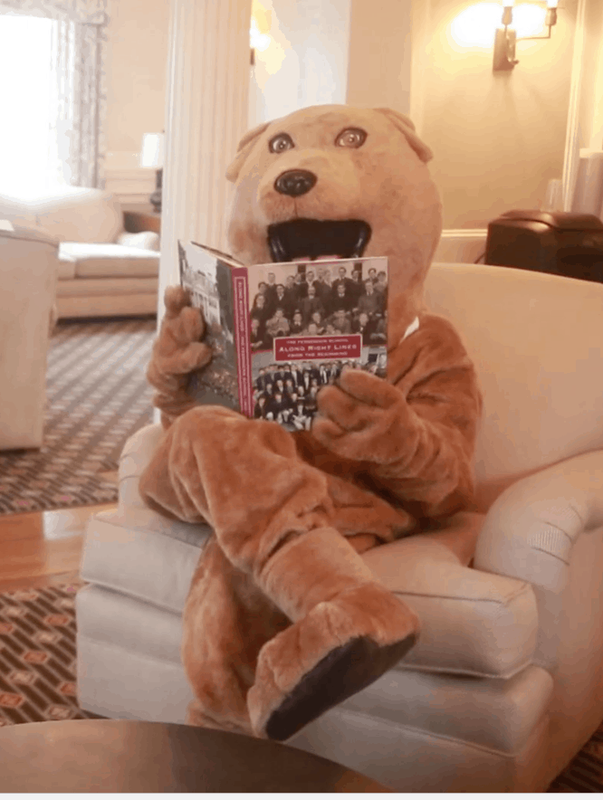 The Fessy Bear is Everywhere!